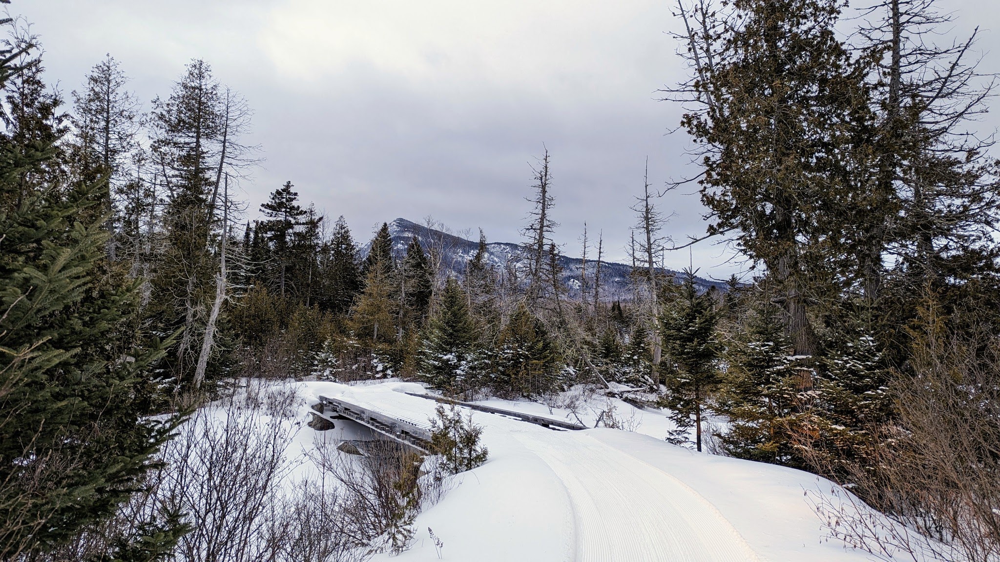 Sticky Trail (Maine Hut Trail) ~ Maine Huts & Trails