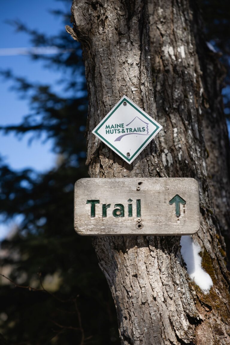 Winter Tree Identification Workshop ~ Maine Huts & Trails